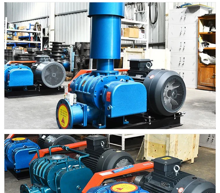 Frequency Conversion Trilobite Roots Fan Aquaculture - Buy Roots Blower ...