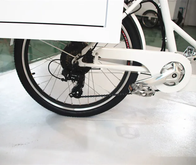 Ice Cream Bike with 258L Freezer - Perfect for Popsicles