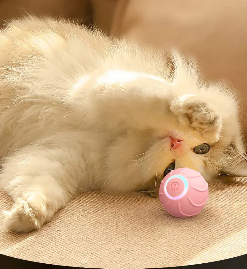 Smart Cat Toys - Interactive Rolling Balls for Fun & Play