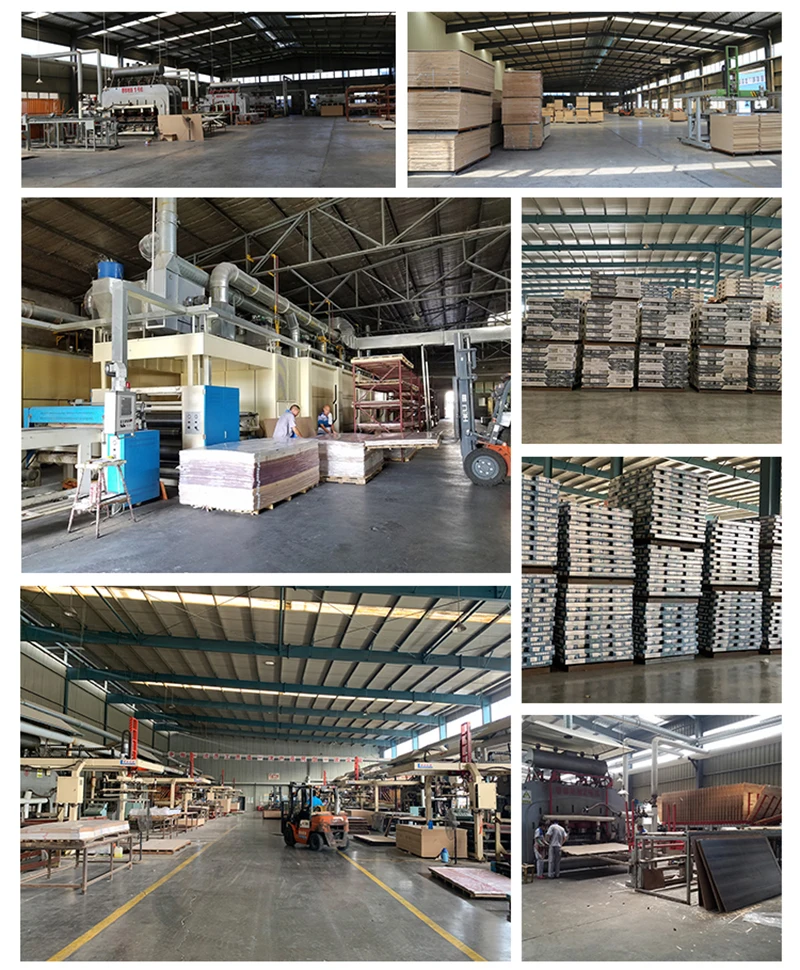 Alisba 2023 Exclusive Design Herringbone Water Resistant 8mm 12mm ...