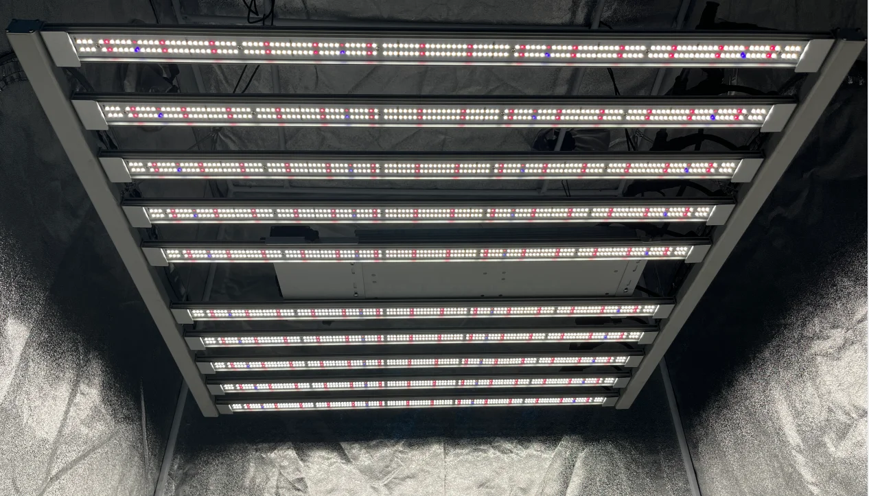 301h Grow Lights - Efficient Indoor Plant Solutions