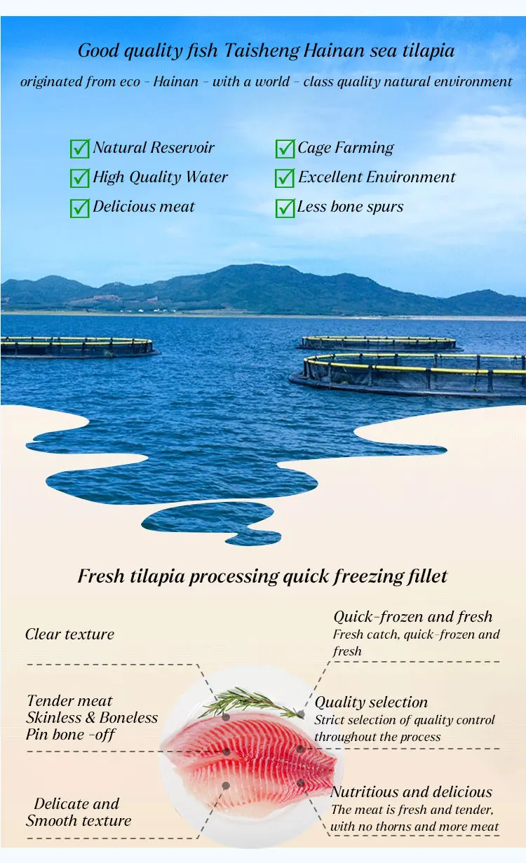 Boneless Frozen Iqf Frozen Fish Fillet Tilapia Fillet Normal Trimmed ...