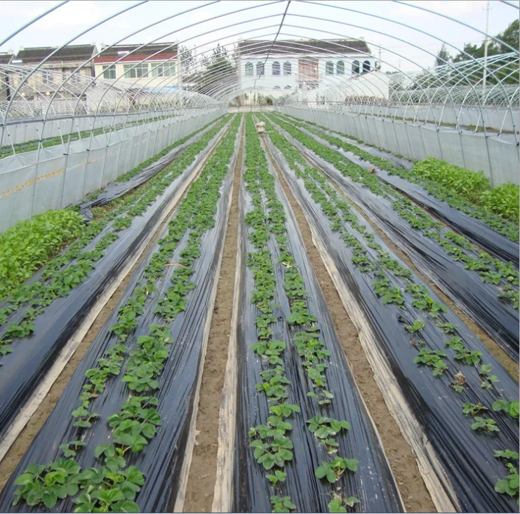 Polyethylene Mulch Film Agricultural Plastic Mulch Film Roll Plastic ...