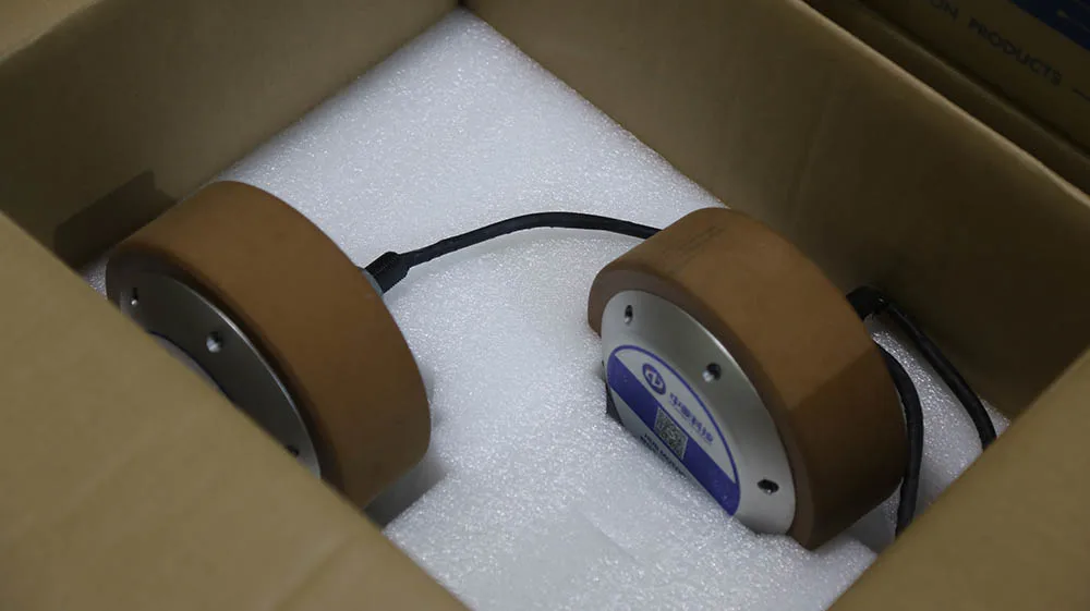 Agv Low Speed High Torque Wheel Motor 10inch 48v 800w Hub Motor 20n.m ...