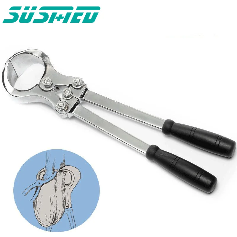 Animal Stainless Steel Castration Forceps Castration Veterinary ...