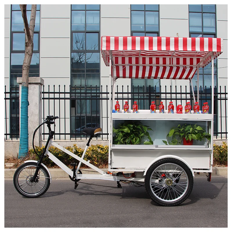 3 Wheels Ice Cream Tricycle for Sale Icicle Tricycles Dry Ice Bike ...