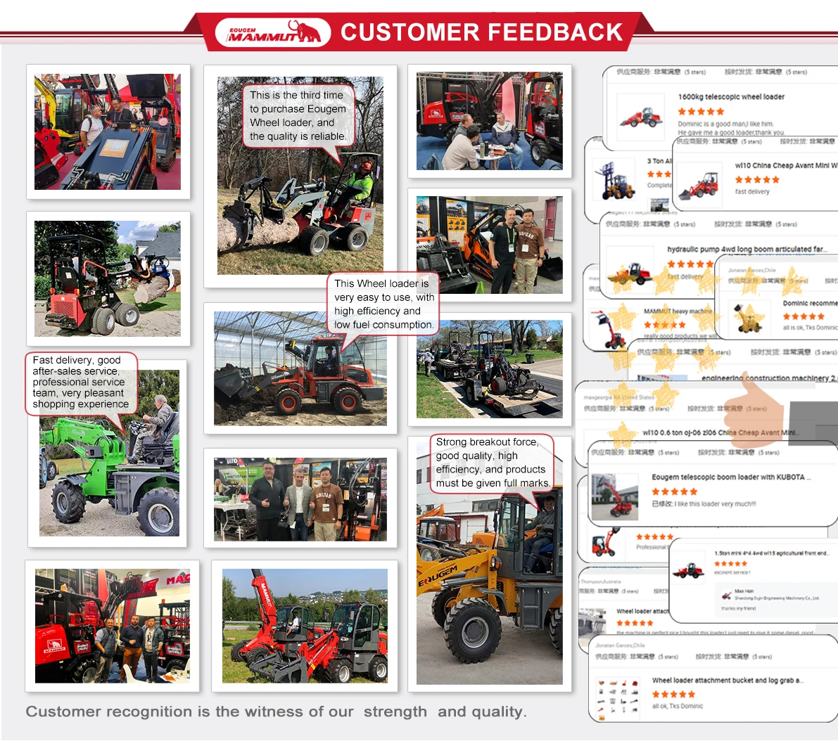 Mini Skid Steer Loader SK650 - 300KG, 23hp Dingo Tracked Front End