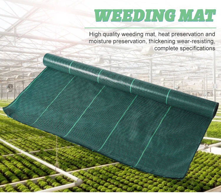Agricultural Garden Plastic Fabric Woven Ground Cover Weed Control Mat ...