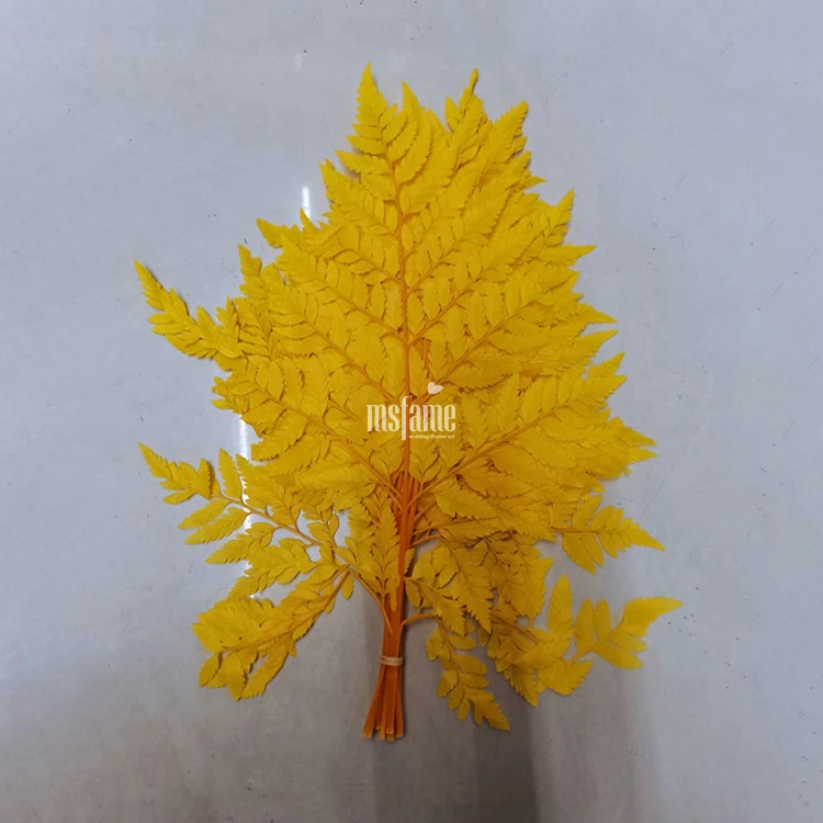 MSFAME Wholesale Multiple Colors Natural Dried Flowers Preserved ...