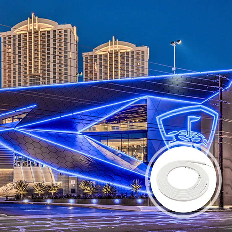 Neon Led Strip Ip68 Pixel Dmx 5050 Silicone/pvc Led Neon Strip Flex ...