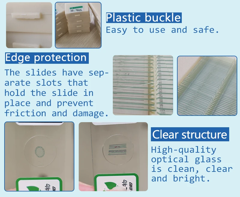 High Quality Microscope Prepared Slides Set Educational Supplies ...