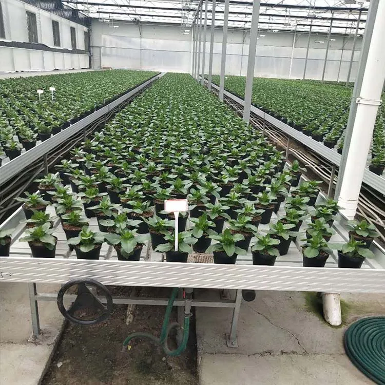 Hydroponics System Fruits Growing Equipment Intelligent Multi-span ...