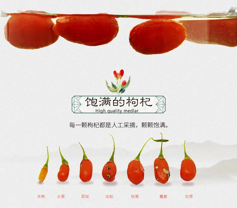 Wholesale High Quality Herbal Healthy Fruit Barbary Chinese Wolfberry ...