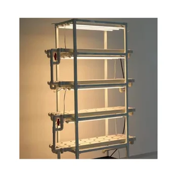 Indoor Leaf And Stem Plants Farm Racks Growing Shelves Growing System ...