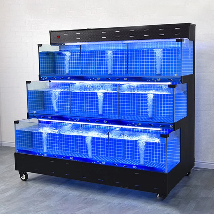 Live Lobster Farming Tank - Sustainable Fish Tank Solutions