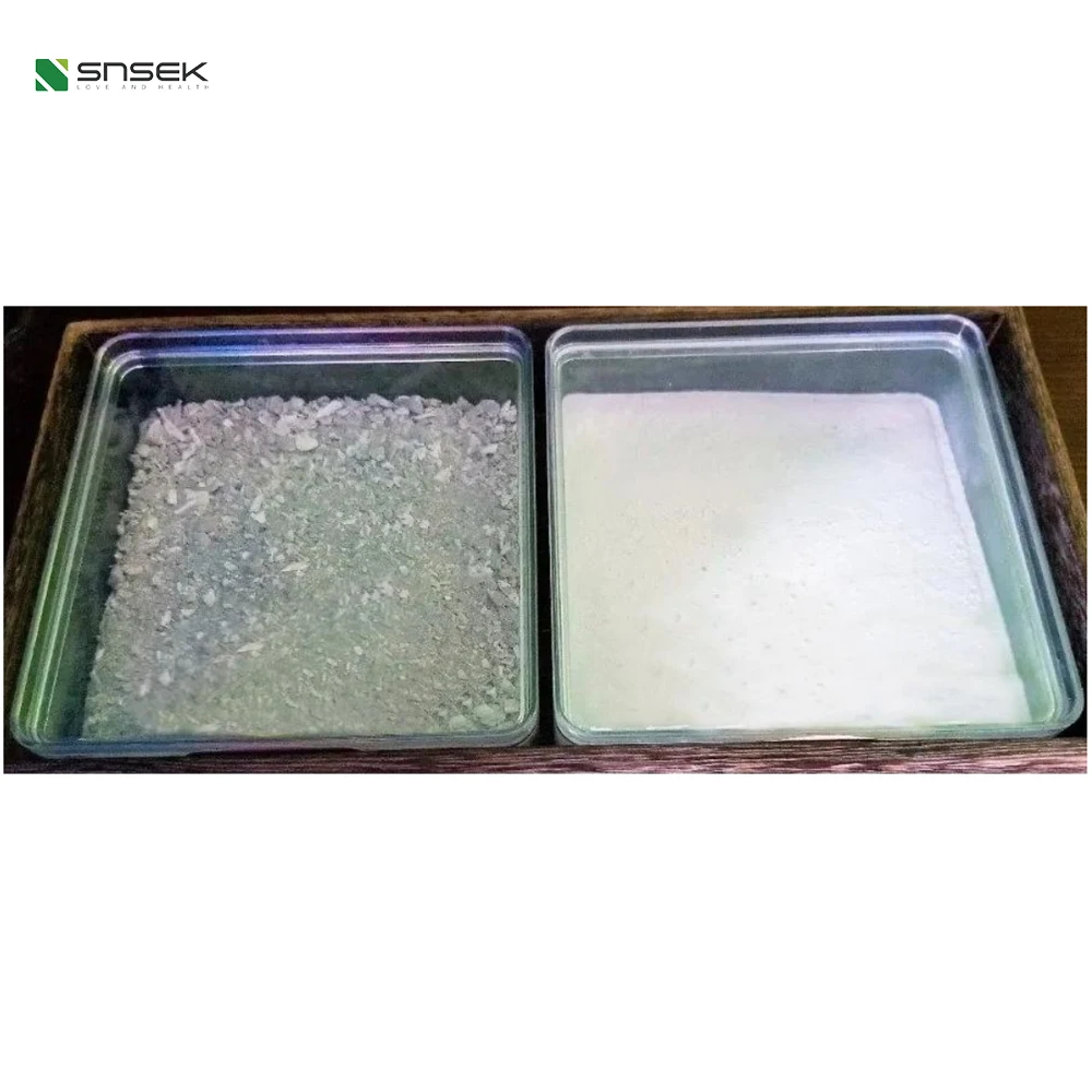 Snsek-sb75v Reusable Vet Aquamation Equipment for Pets