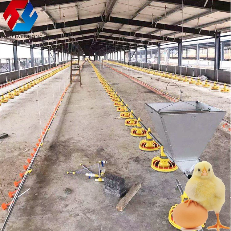 Efficient Chicken Feeding System - Automatic Poultry Broiler