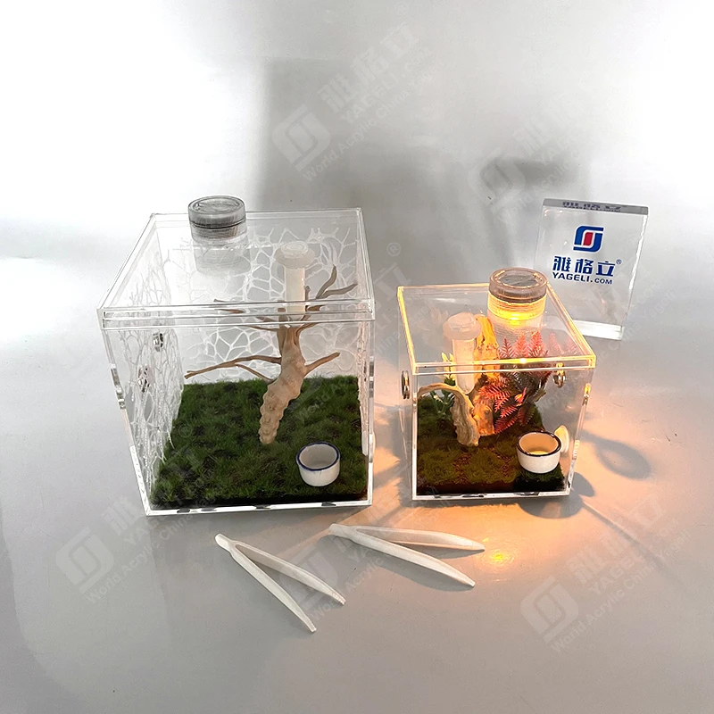 Small Acrylic Jumping Spider Enclosure Clear Custom Reptile Enclosure ...