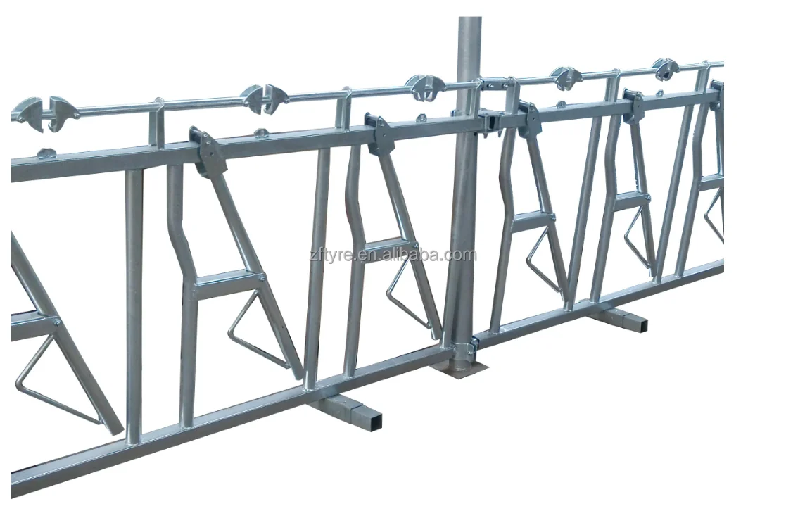 3 Meters 4 Positions Dairy Cattle Breeding Equipment Cow Calf Headlock ...