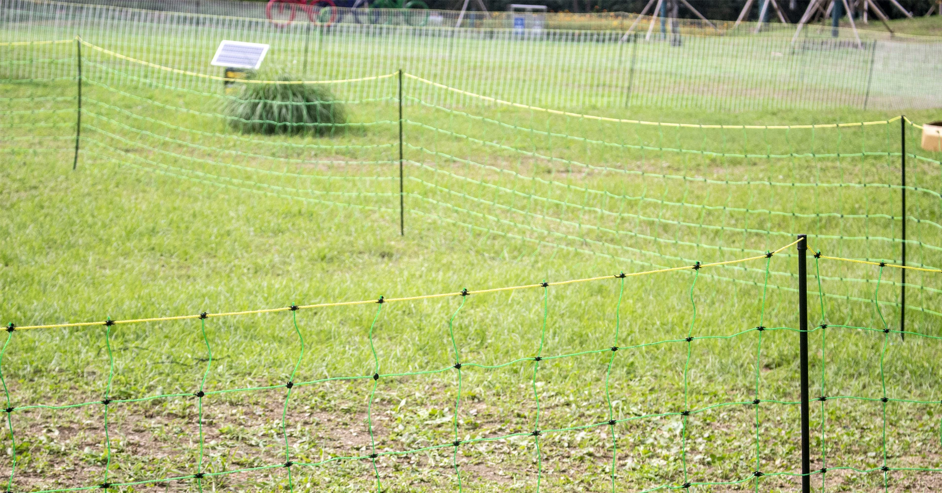 Lydite OEM 90cm Height Goat Electric Fencing Netting