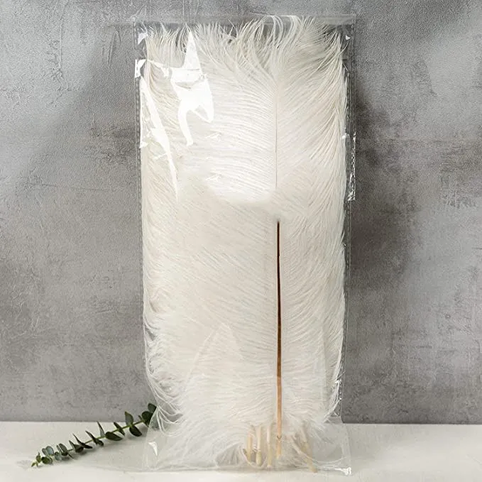 Wholesale Feather Supplier - Natural Black Ostrich Feathers