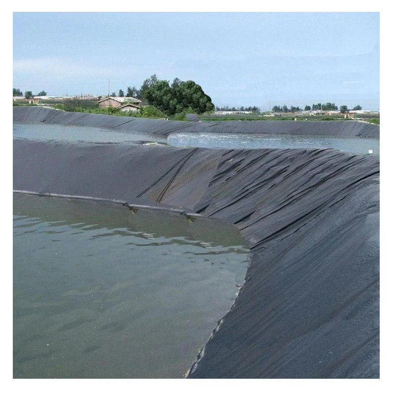 Alibaba.com: 1mm HDPE geomembrane for fish pond, tank, and aquaculture use : Durable ...