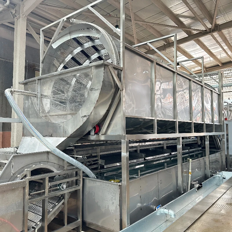 Automatic Commercial Nut Washing Machine - 1t/time Capacity