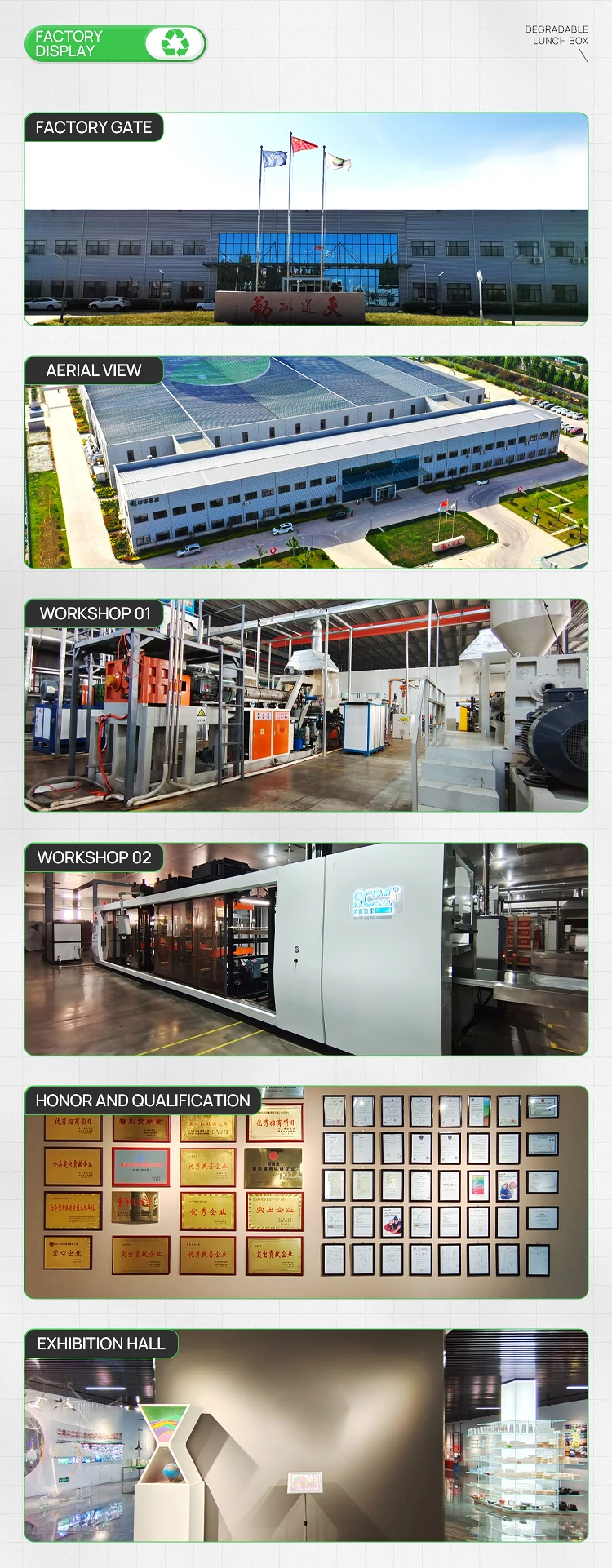 Eco-friendly Biodegradable Corn Starch Wholesale Disposable Take Out To ...