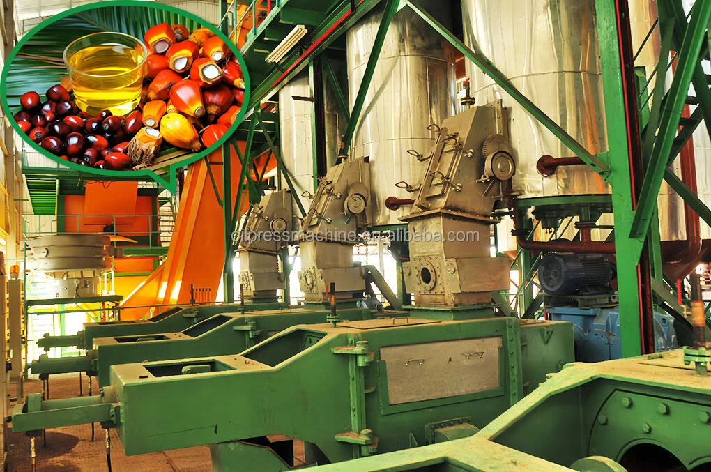 Palm Oil Extraction Machine - Efficient & Reliable Solutions
