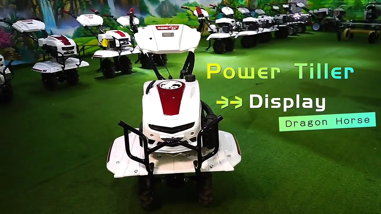 5.5hp Agricultural Machinery Multifunctional Hand Push Rotary Mini ...