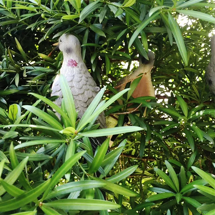 Garden Hunting Plastic Speck Birds Bait Pigeon Turtle Decoy For Hunting ...