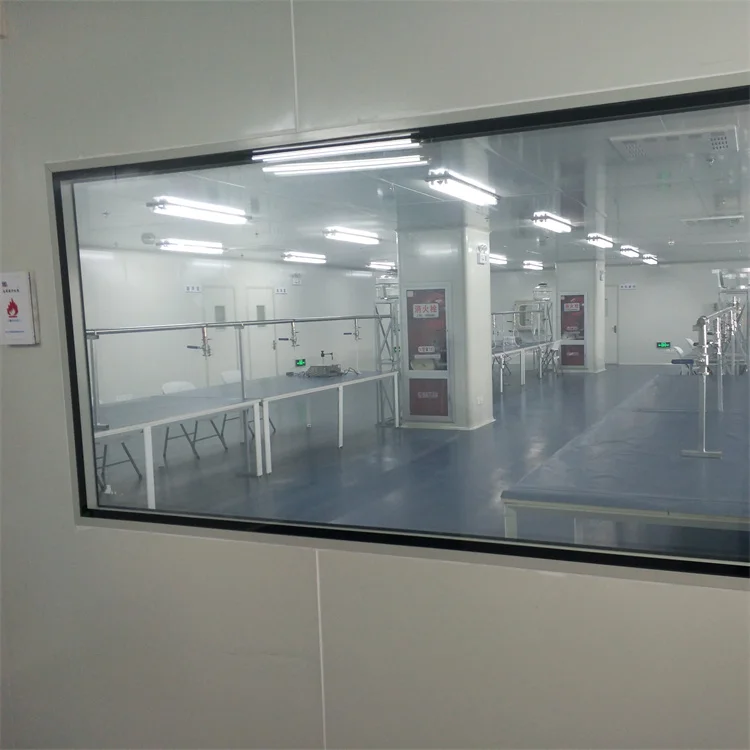 China Customized Interior Single Swing Cleanroom Windows Stainless ...
