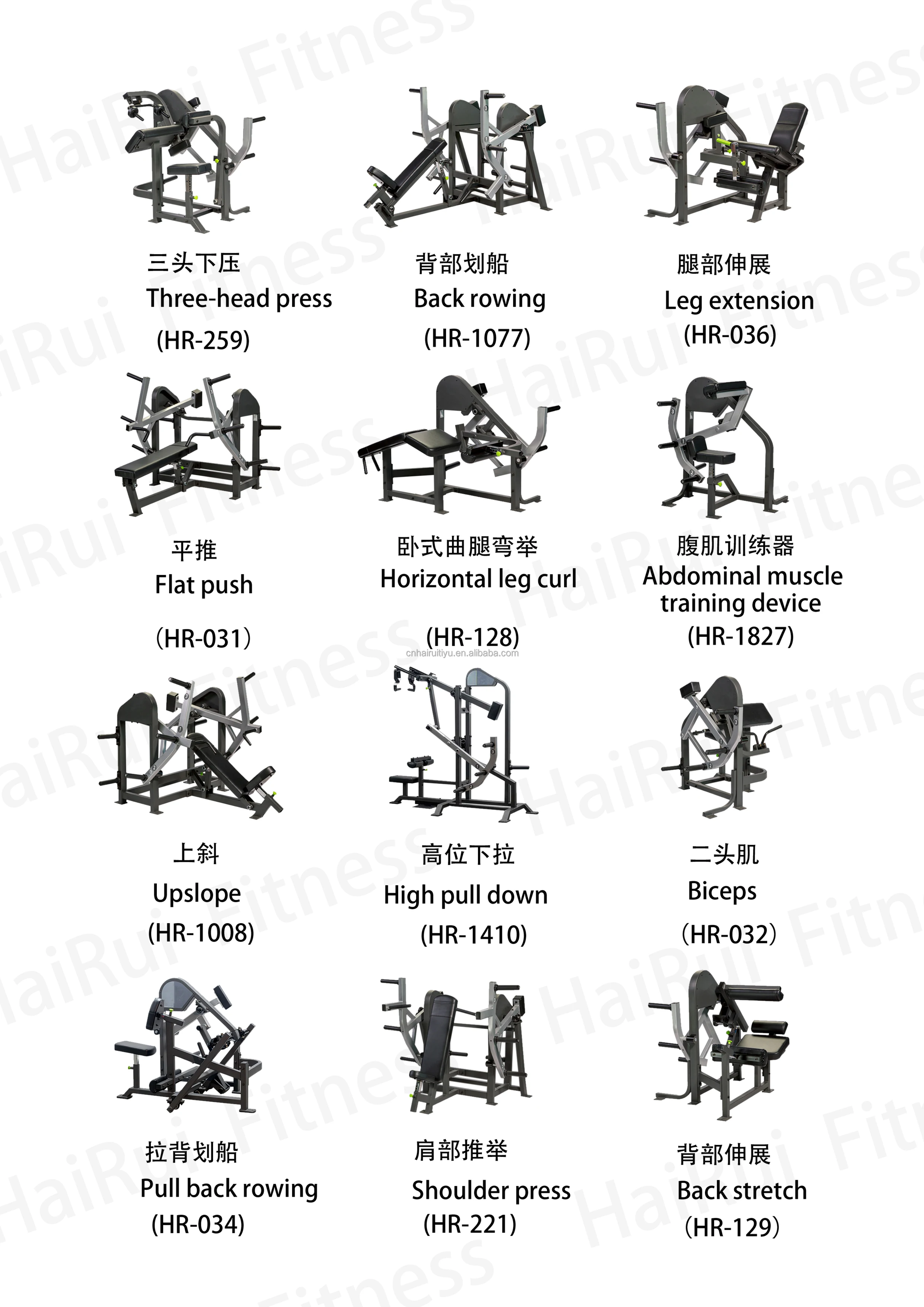 Strength Professional Home Gym Bodybuilding Plate Loaded Fitness ...