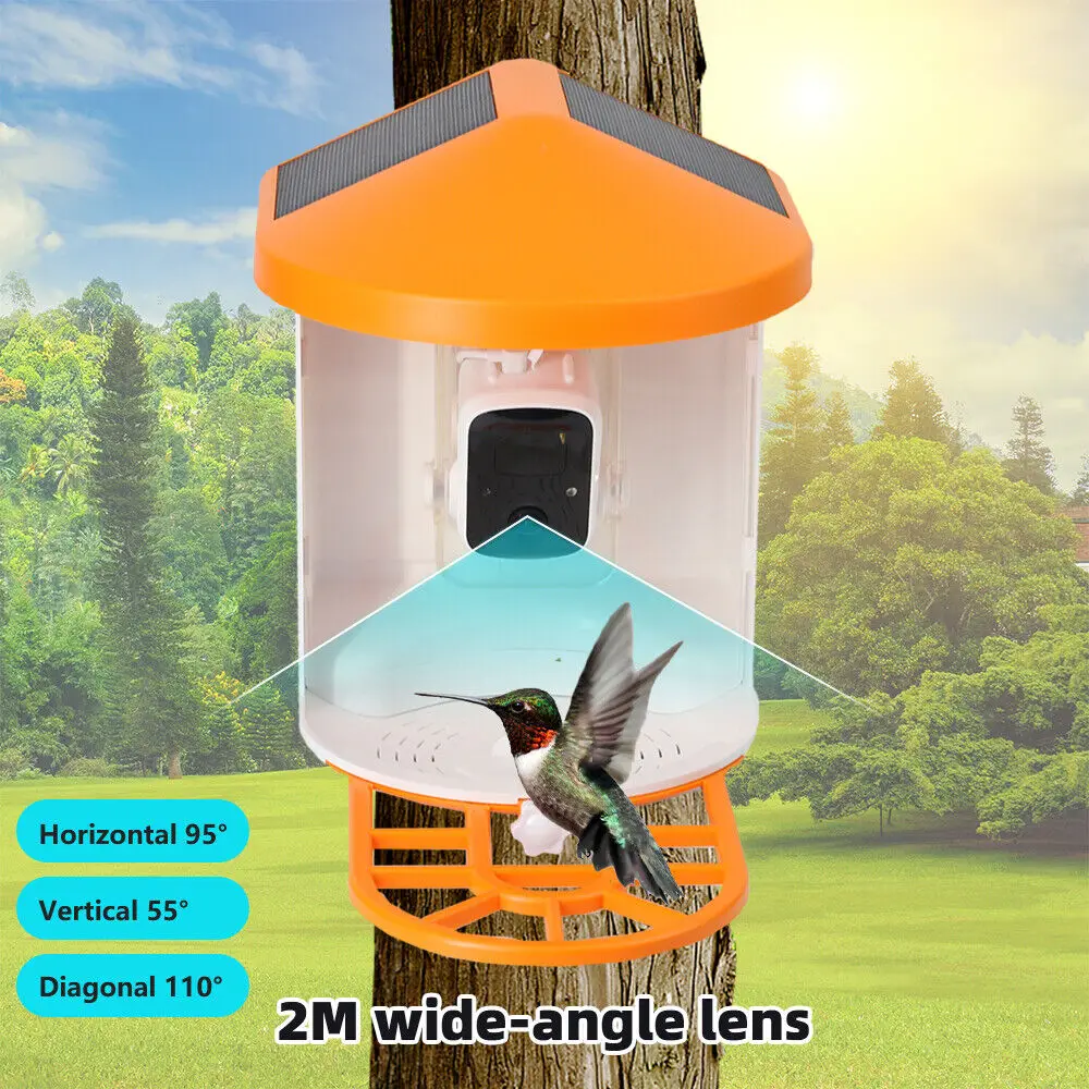 Smart Bird Feeder with 1080P Camera - AI Bird Identification