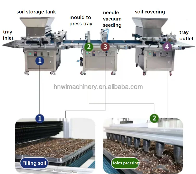 Tray Seedling Machine Automatic Vegetable Seedling Cultivation ...