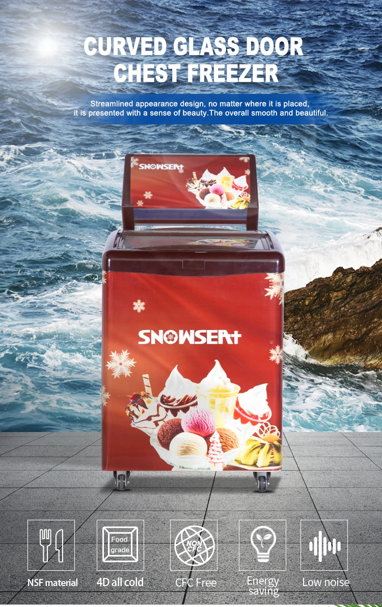 Snowsea Mini Chest Display Showcase Freezer for Meat & Fish