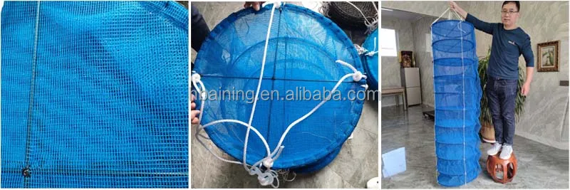 Scallop Hatchery - Efficient Culture Nets for Aquatics