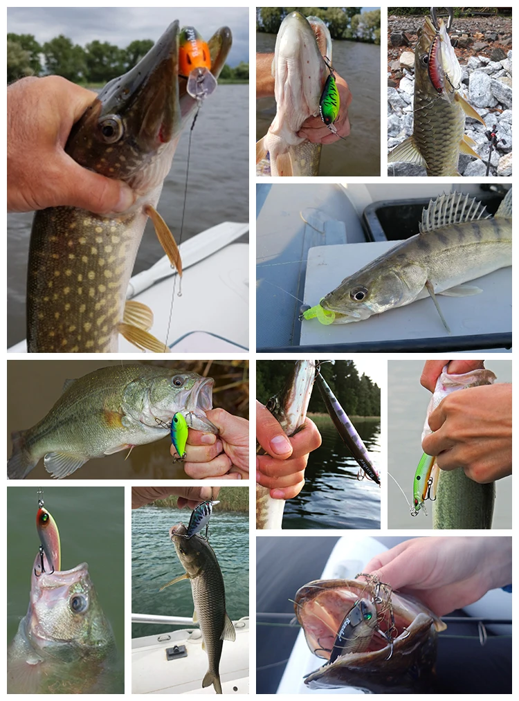 Floating Pike Swim Bait Swimbait Multi Jointed Hard Bait for Ocean Rock ...