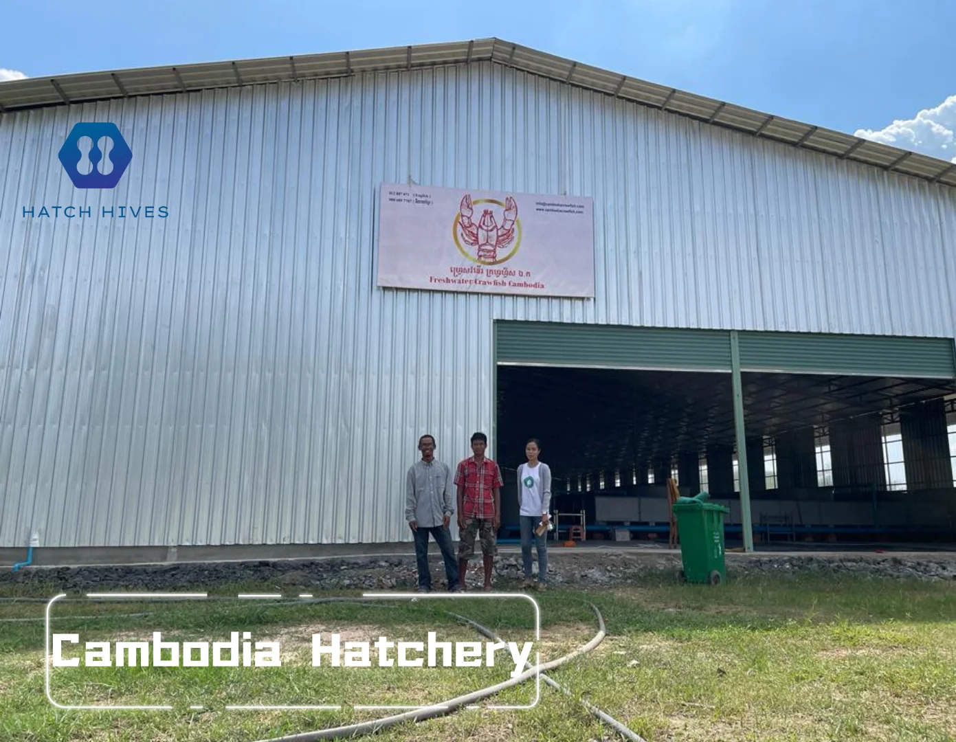 Commercial Fish Farming Hatchery Tilapia Farming Equipment With Ras ...