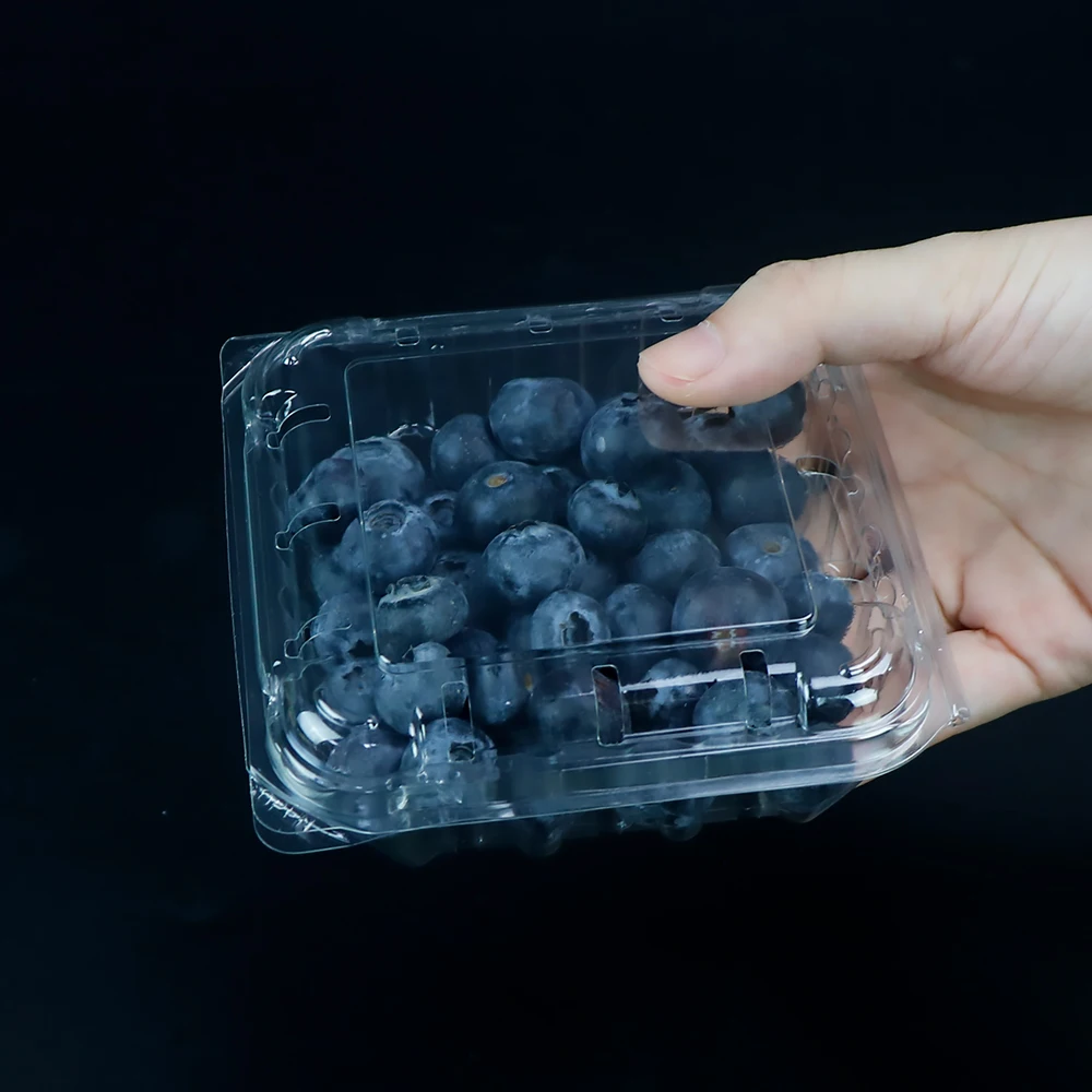 Transparent Plastic Fruit Packaging Boxes - Eco-friendly