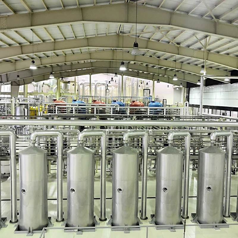 25TPD Rice to Glucose Syrup Production Line Food Processing Equipment ...