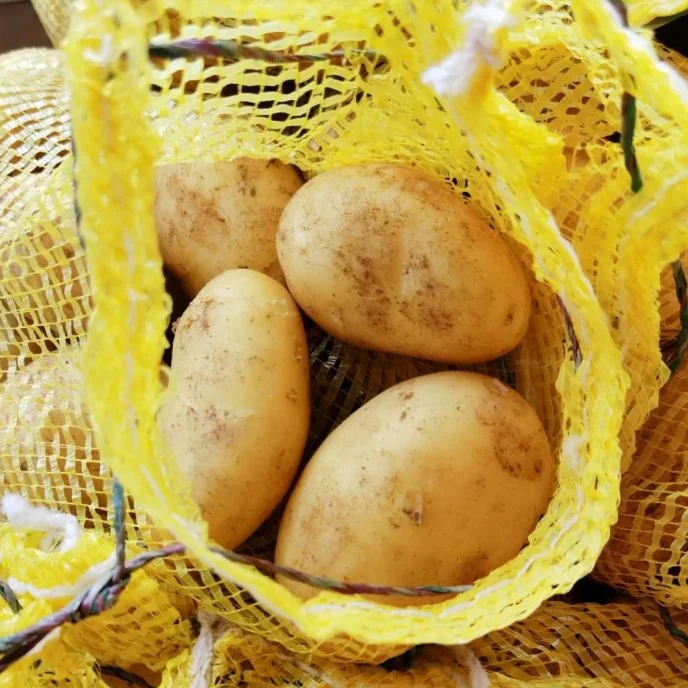 Fresh Potato Potatoes Hot Sale Potato In Bulk - Buy New Season Potato ...