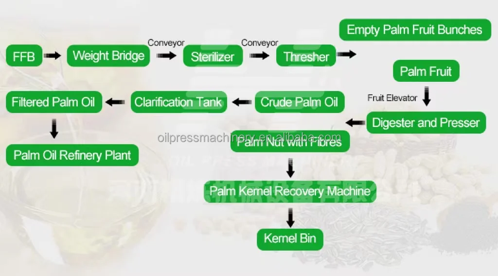 Small Scale Palm Oil Extraction Press Processing Plant