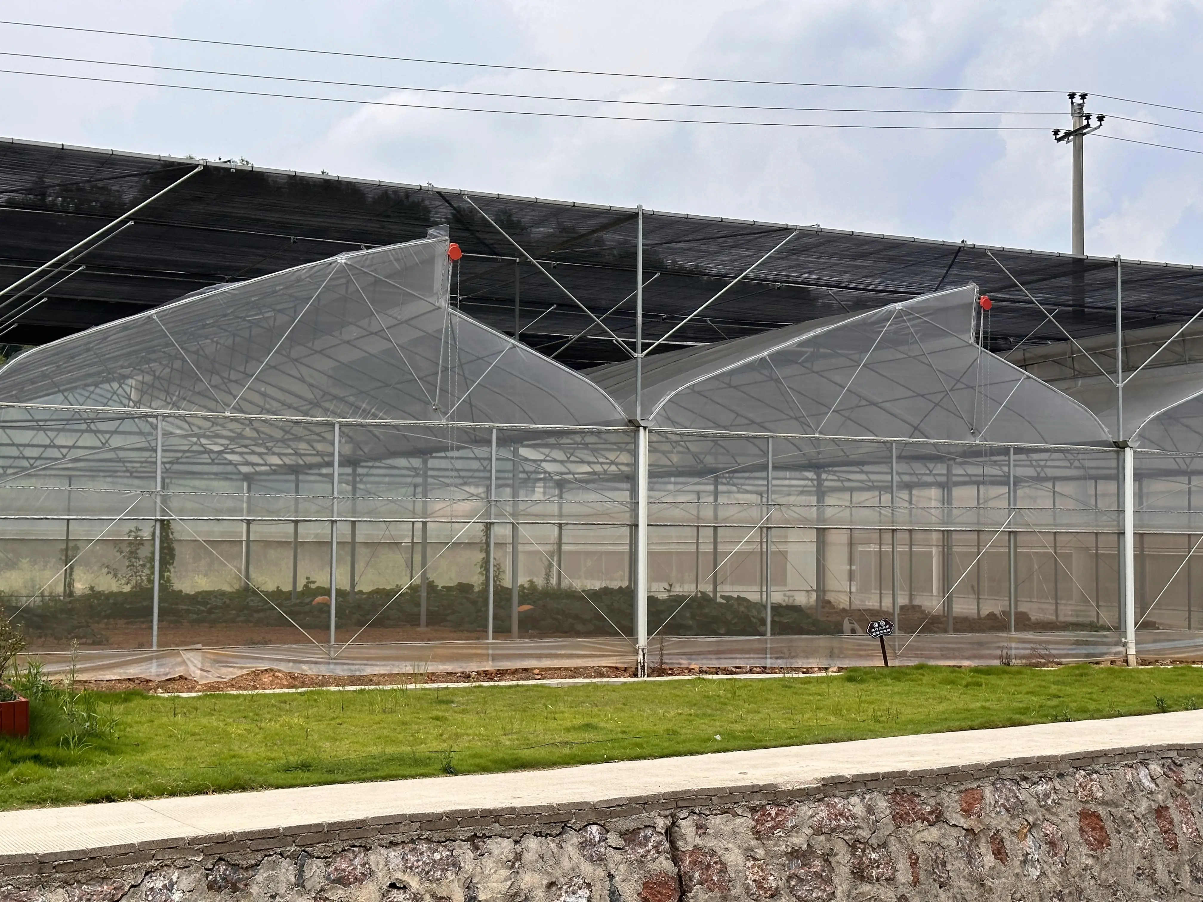 Sawtooth Greenhouse - Efficient Plant House Arch Pipes