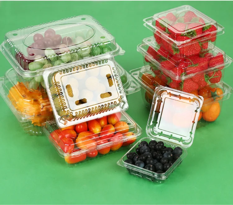 Plastic Disposable Transparent Clamshell Fruit Container - Buy Plastic ...
