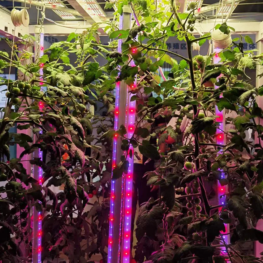 Solar Led Plant Growth 2023 12v Led Grow Light Full Spectrum Side Light ...