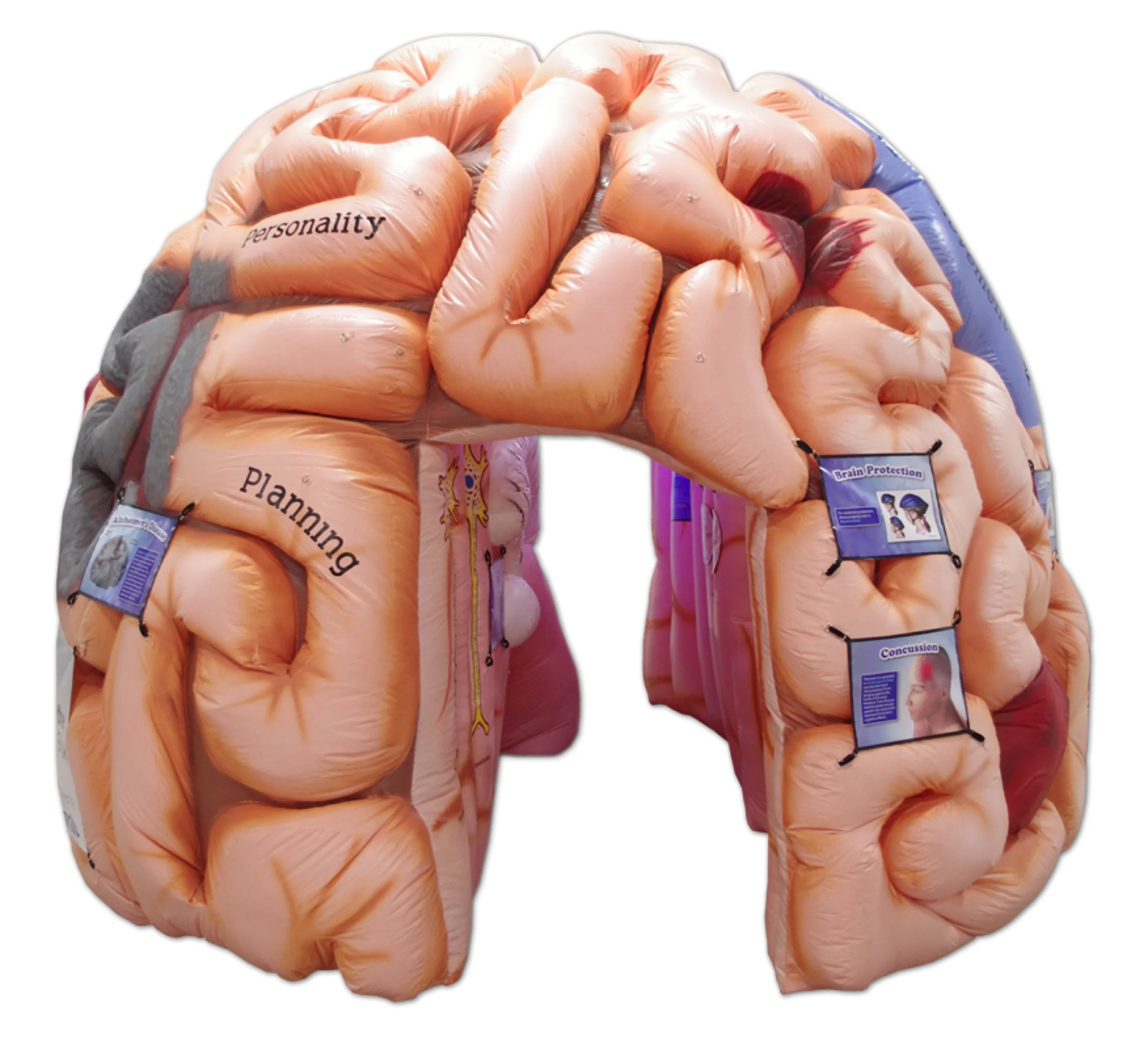 Inflatable brain channel tent air model mannequin inflatable mall ...