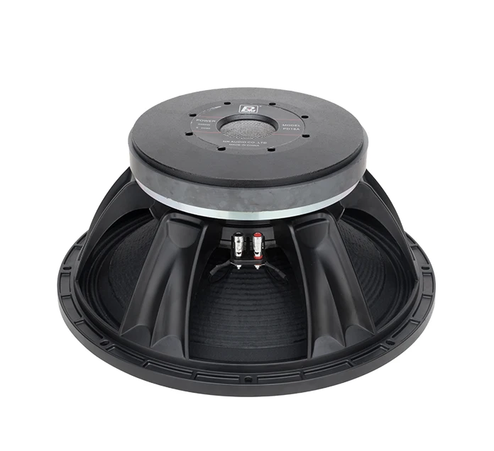 PA Speaker - Professional 18 Inch Subwoofer with 5 Inch Voice Coil