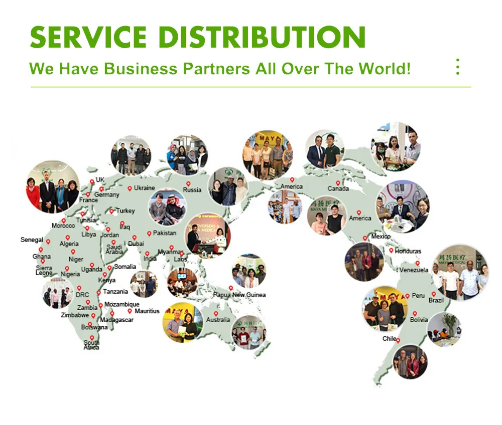 Normal Delivery Set Gynecology Physiology Dissecting Basic Surgery Set ...