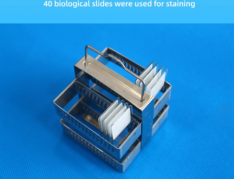 Slide Staining Racks For 30 Slides Stainless Steel Slides Staining ...